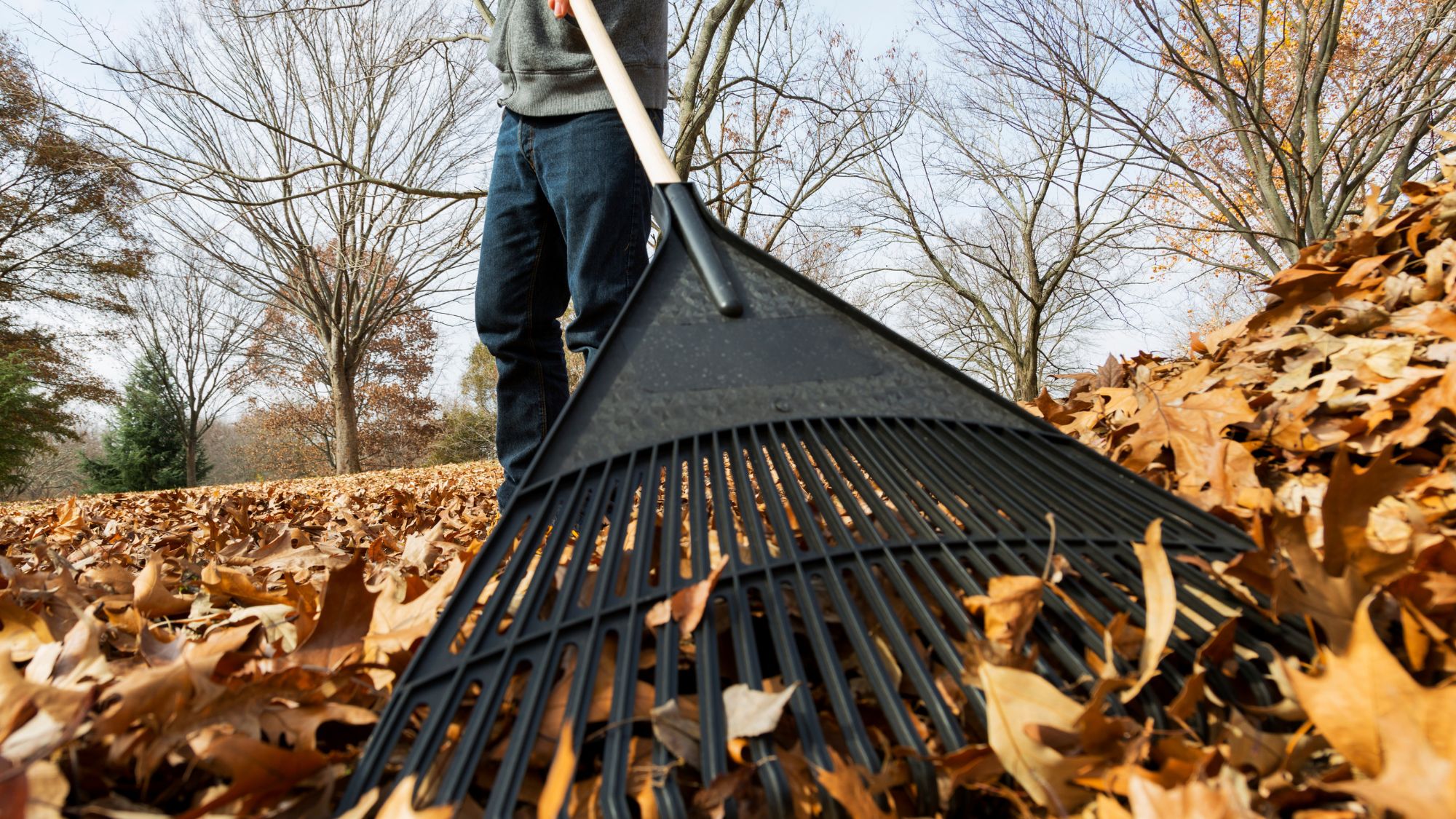 Protect Yourself During Fall Cleanup - Buffalo Rehab Group